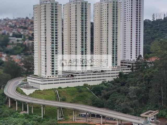 Cota grupo 11