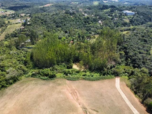 Cotia: qualidade de vida, natureza e um futuro cheio de possibilidades