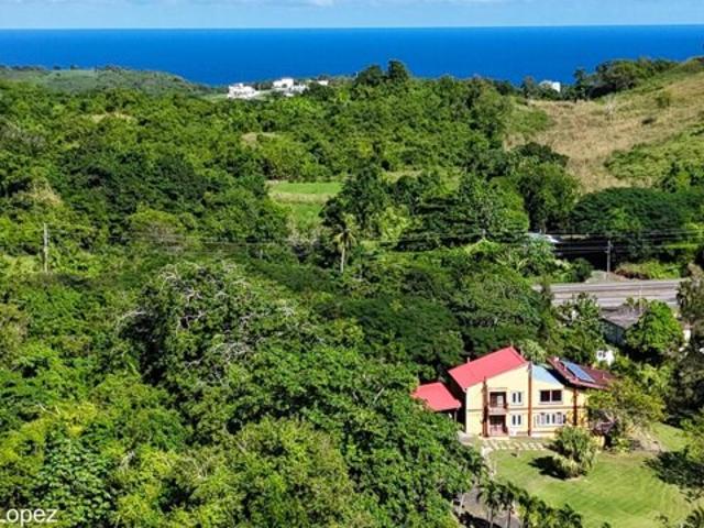 Coto, Isabela, Home For Sale