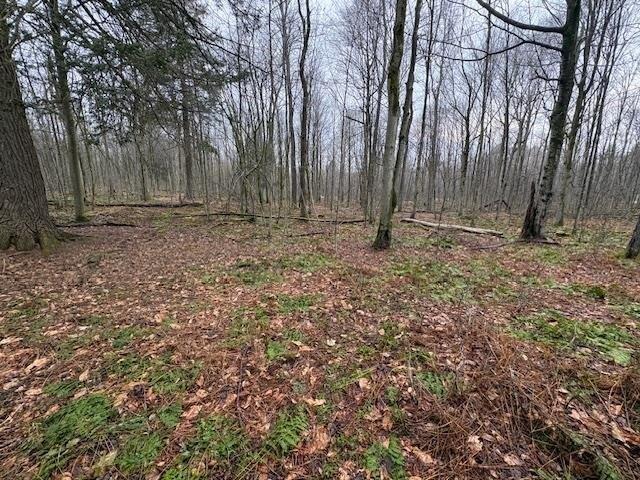 Coudersport PA 16915 103603164