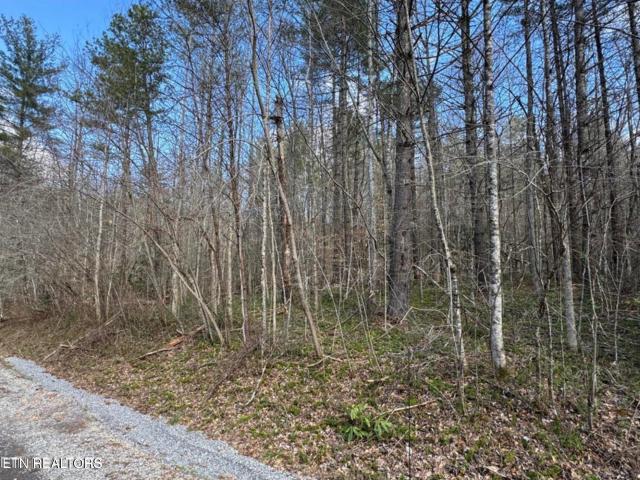 Cougar Trail Tr 18, Del Rio, TN 37727