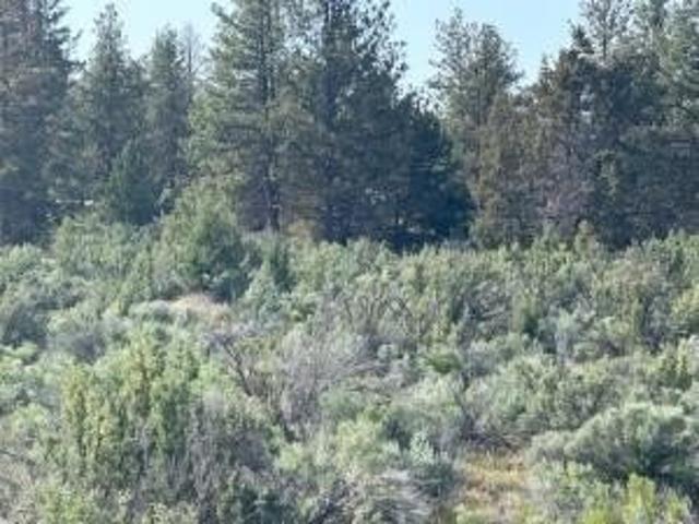 Council Butte Lot 8, Beatty, OR 97621