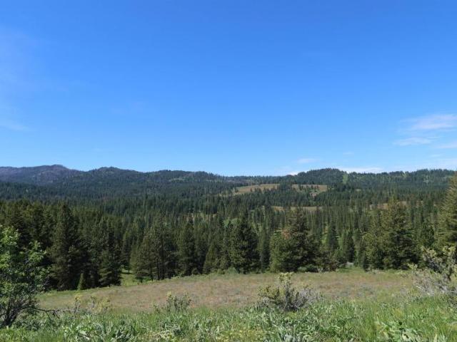 Council ID 83612 LS91915551