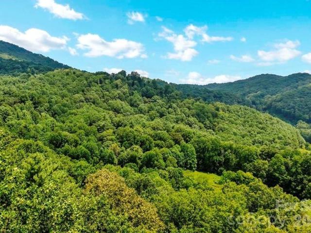 Council Ward Rd, Sugar Grove, NC 28679