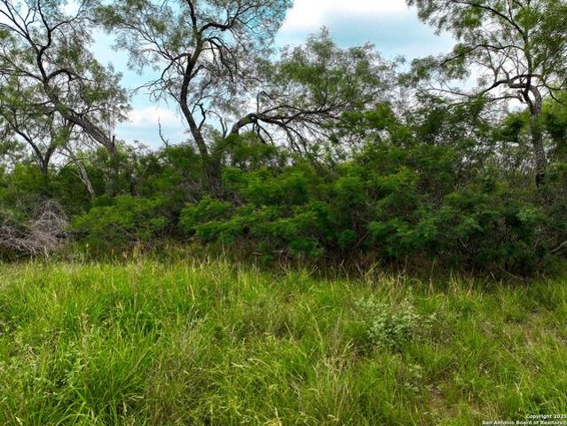Count Rd # 5232, D Hanis, TX 78850