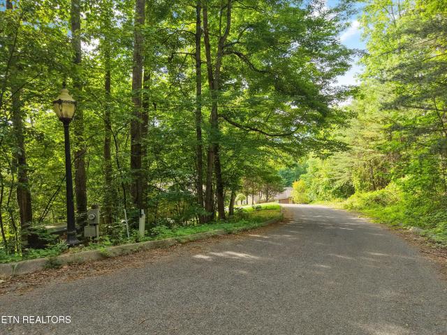Country Mtn Rd Lot 11, Cosby, TN 37722