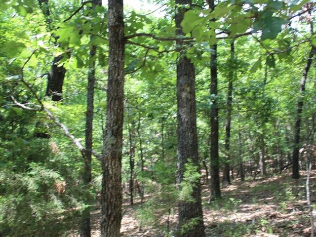 Country Club Dr Lot 9B, Theodosia, MO 65761