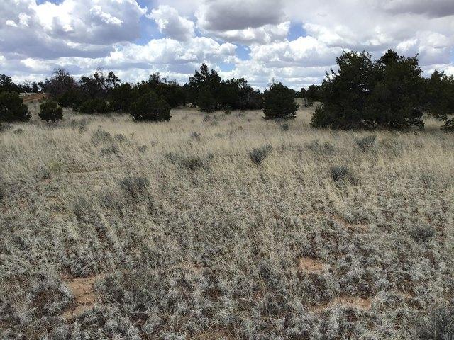 Country Ln Lot 38 39, Ramah, NM 87321