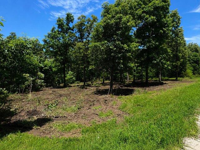 Country Place Dr, Urbana, MO 65767