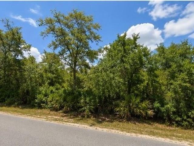 Country Rd, Eustis, FL 32726