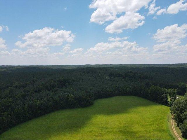 Country Rd # 428, Paris, MS 38949