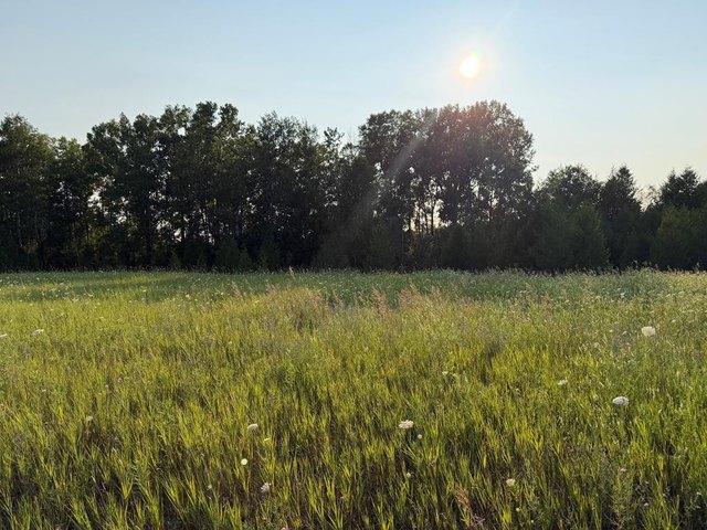 Country View Rd, Sturgeon Bay, WI 54235