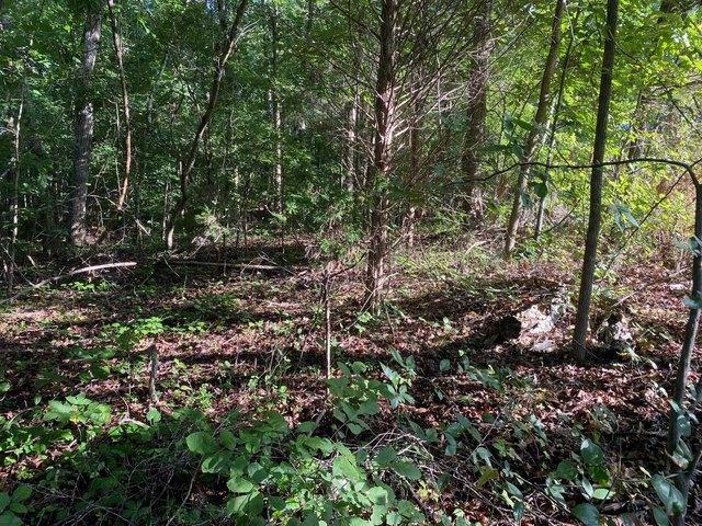 Country Woods Dr Lot 2, Selmer, TN 38375