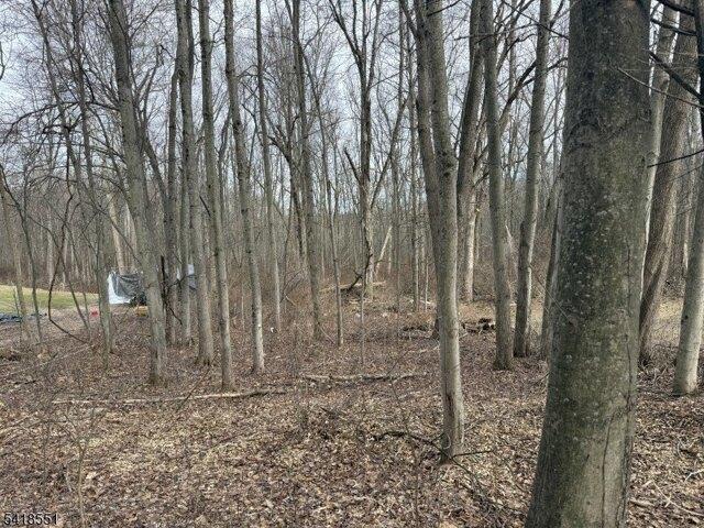 Countryside Rd, Knowlton, Plot For Sale