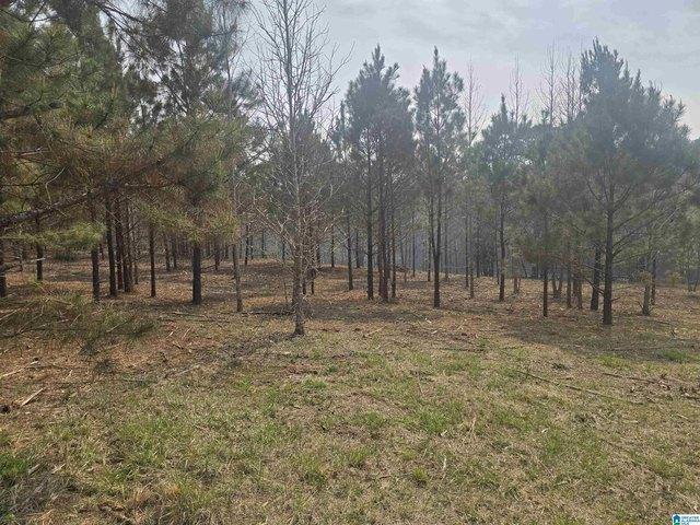 County 108 Rd Lot 10, Rockford, AL 35136