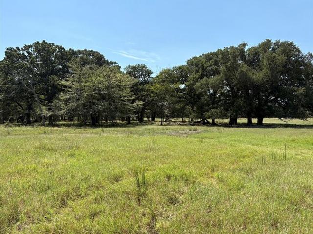 County 1168 Rd Unit 3, Brashear, TX 75420