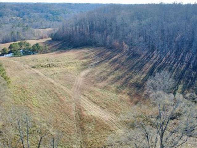 County 1171, Cullman, AL 35057