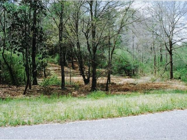 County 11 Rd Lot 14, Headland, AL 36345
