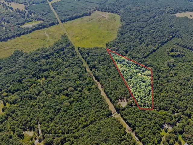 County 1240 Rd Lot 2, Pittsburg, TX 75686