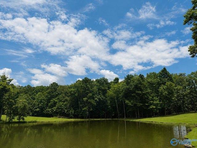 County 131 Rd Lot 13, Cedar Bluff, AL 35959