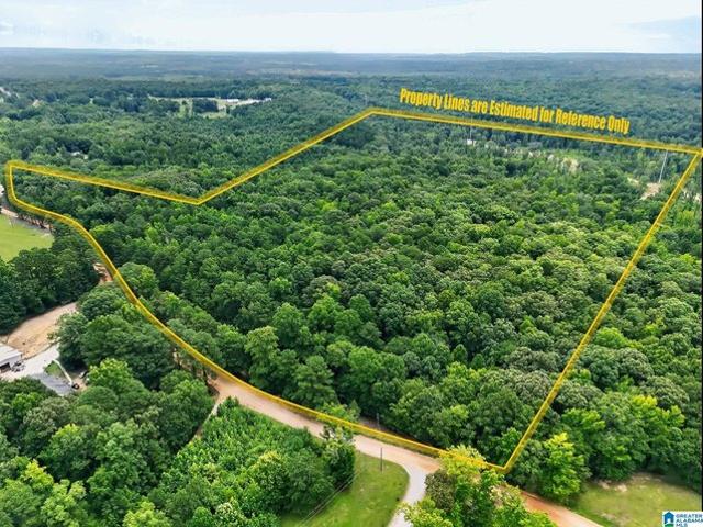County 133 Rd Lot 0, Jemison, AL 35085