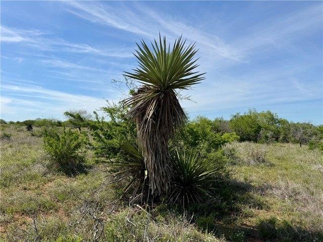 County 147 Rd Lot 0, George West, TX 78022