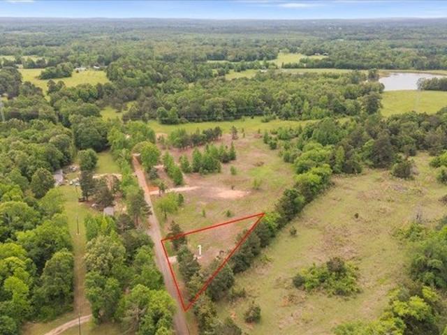 County 1552 Rd Lot 1, Long Branch, TX 75669