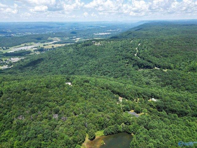 County 166 Rd Lot 8, Fort Payne, AL 35967