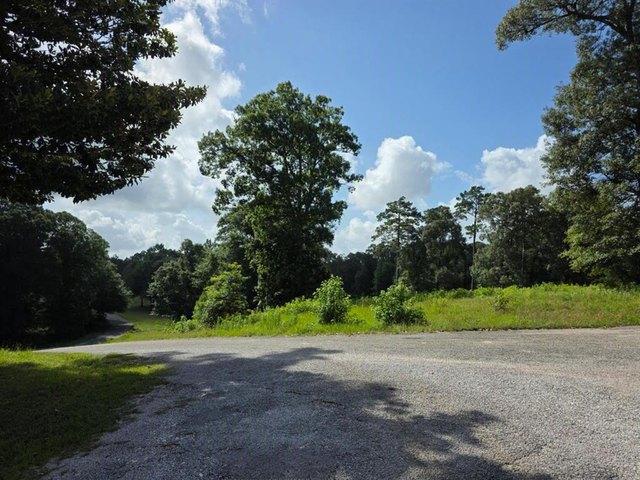 County 173 Rd Lot 41, Jasper, TX 75951