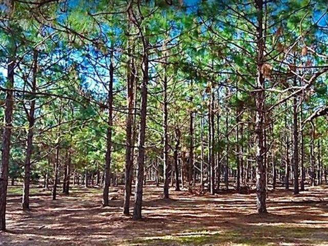 County Road 18, Headland, AL 36345