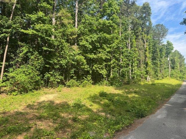 County 199 Rd Lot 21, Bremen, AL 35033