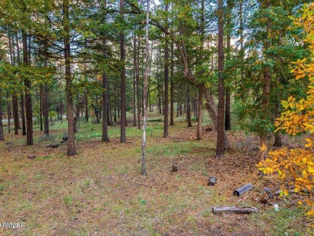 County 2196 Rd Unit 74A, Alpine, AZ 85920