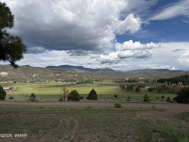 County 2225 Rd Lot 52, Nutrioso, AZ 85932