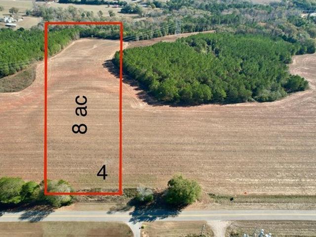 County Road 238, Headland, AL 36345