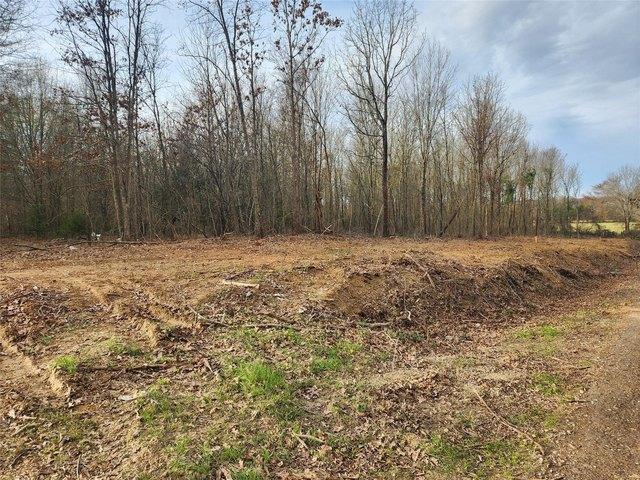 County 2310 Rd Lot 3, Sulphur Springs, TX 75482