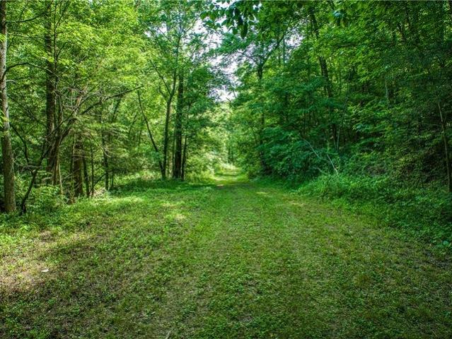 County 231 Rd Lot 0, Saint Joe, AR 72675