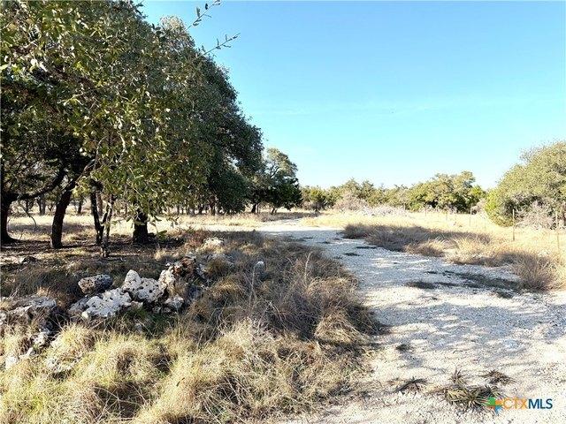 1358 County Road 233 Lot TRACT2, Florence, TX 78633