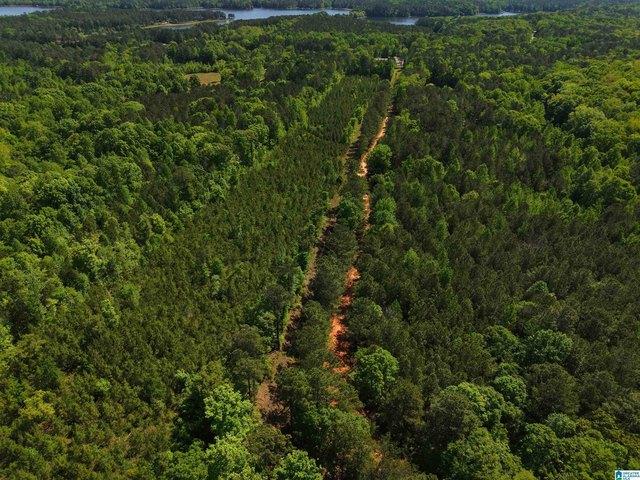 County 266 Rd Lot 1, County Line, AL 36855
