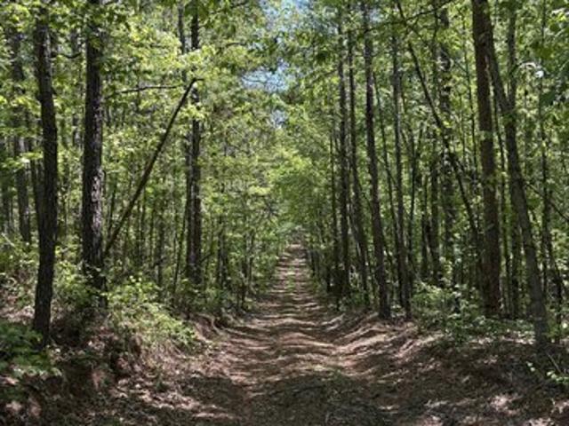 County 26 Rd Lot 1, Wadley, AL 36276