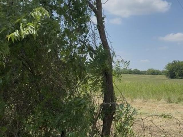 County 308 Rd Lot 1, Terrell, TX 75161