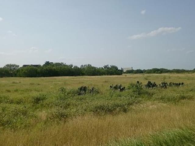 County 308A Rd Lot 1, Jourdanton, TX 78026