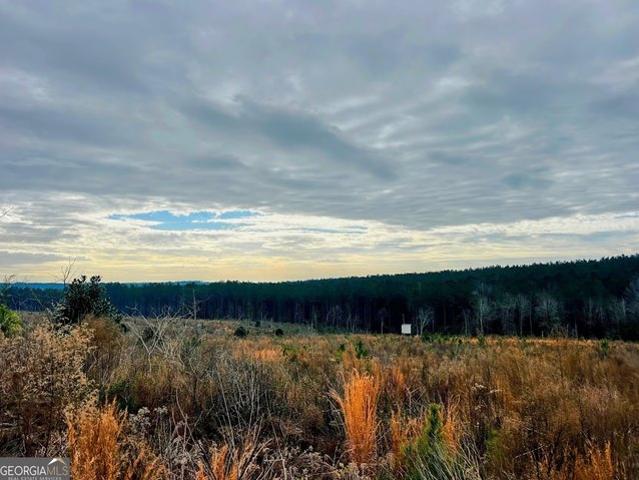 County 309 Rd Unit Tracta, Skipperville, AL 36374