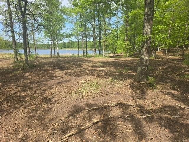 County 30 Rd Lot 5, Crosby, MN 56441
