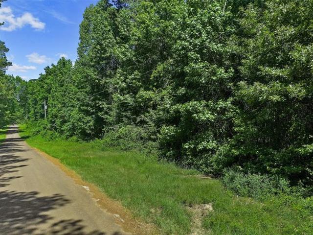 County 3363 Rd Unit Tractc, De Berry, TX 75639