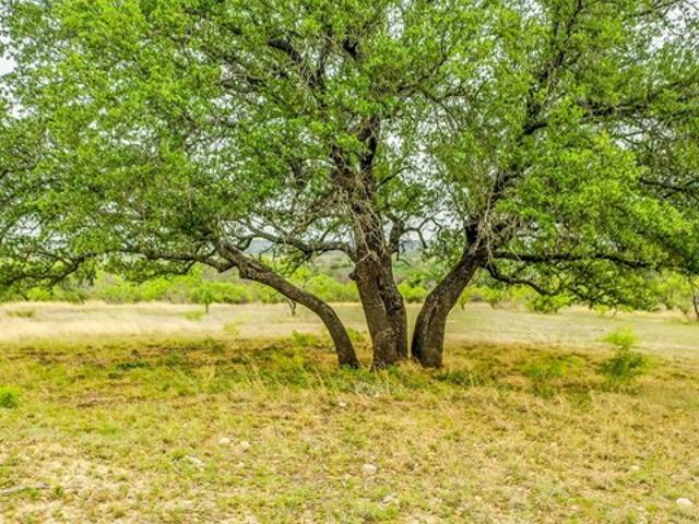 County 332 Rd Lot 3, Blanket, TX 76432