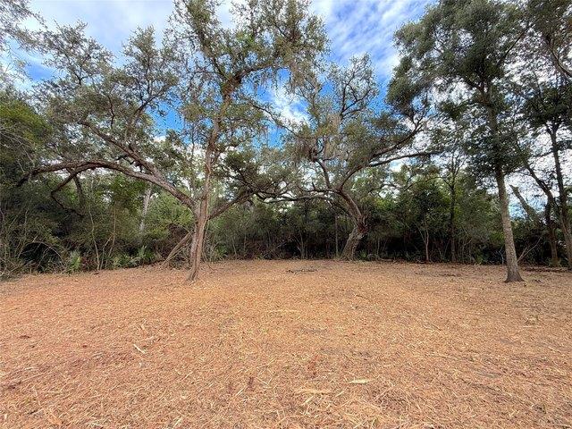 County 345 Rd Lot 12A2, Brazoria, TX 77422