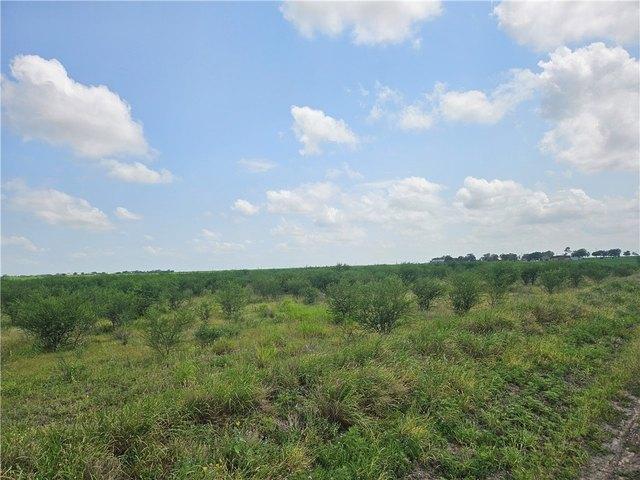 County 364 Rd Lot 0, Sandia, TX 78383