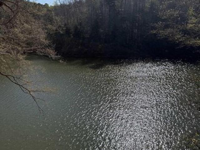 County 3782 Rd Lot 11, Arley, AL 35541