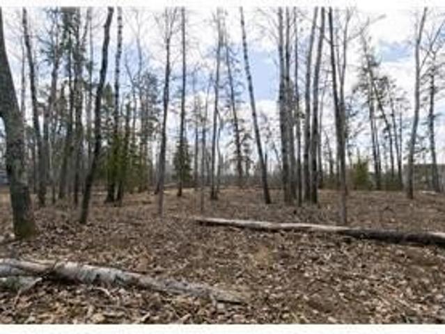 County 37, Laporte, MN 56461