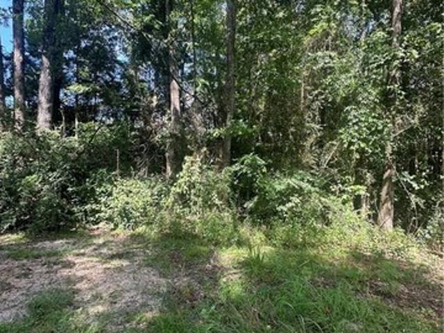 County 38 Rd Lot 1, Notasulga, AL 36866